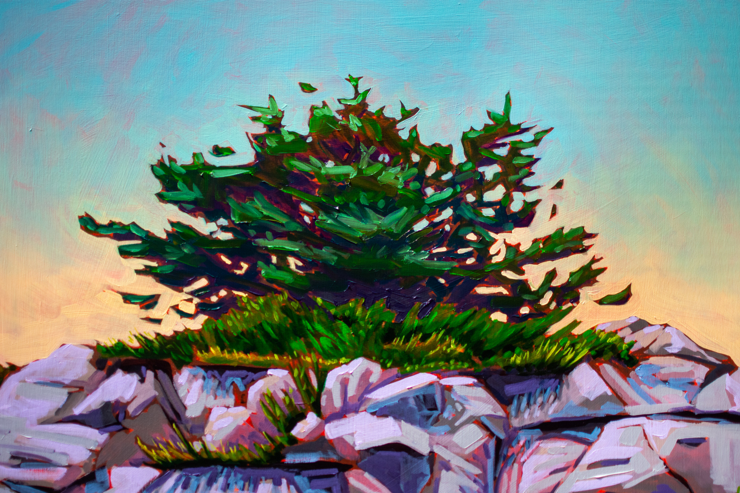 FINE ART | Mattison James
