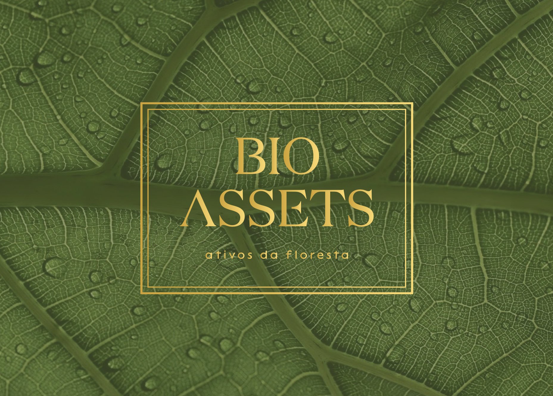 contato | BIO ASSETS BRASIL