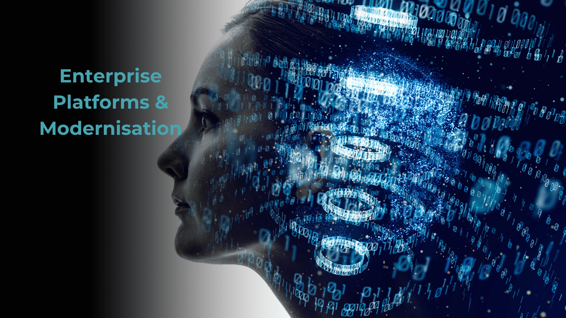 Enterprise Platforms & Modernisation | ITgility