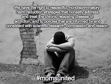 Bill of Rights Memes | momsu