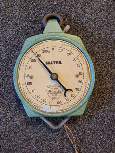 Salter 235 scale | My Site