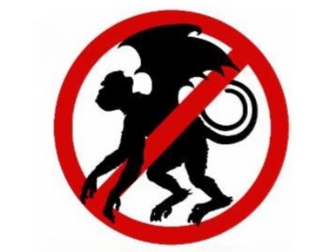 O que são Macacos Voadores