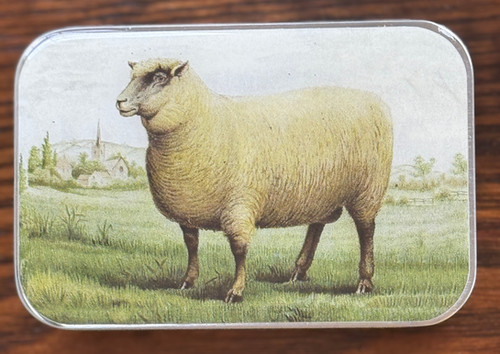 Sheep Knit Kit | mitten-state-wool