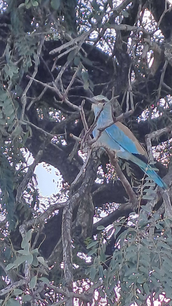 A little Europe in Africa