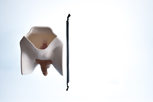 Catheterization task trainer - essential range - male | Decent Simulators