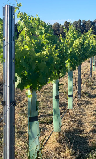Vineyard - Trellis Posts | Ocloc by Ocvitti