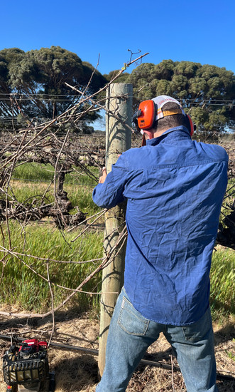 Vineyard - Wood Trellis Repairs | Ocloc by Ocvitti