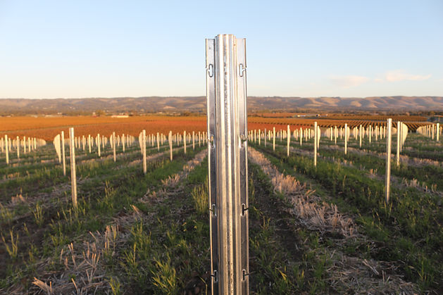 Vineyard - Trellis Posts | Ocloc by Ocvitti