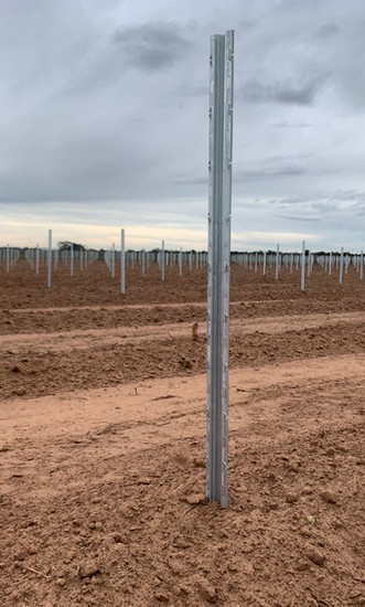 Vineyard - Trellis Posts | Ocloc by Ocvitti