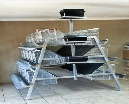 120 Layer Cage | F And J Poultry