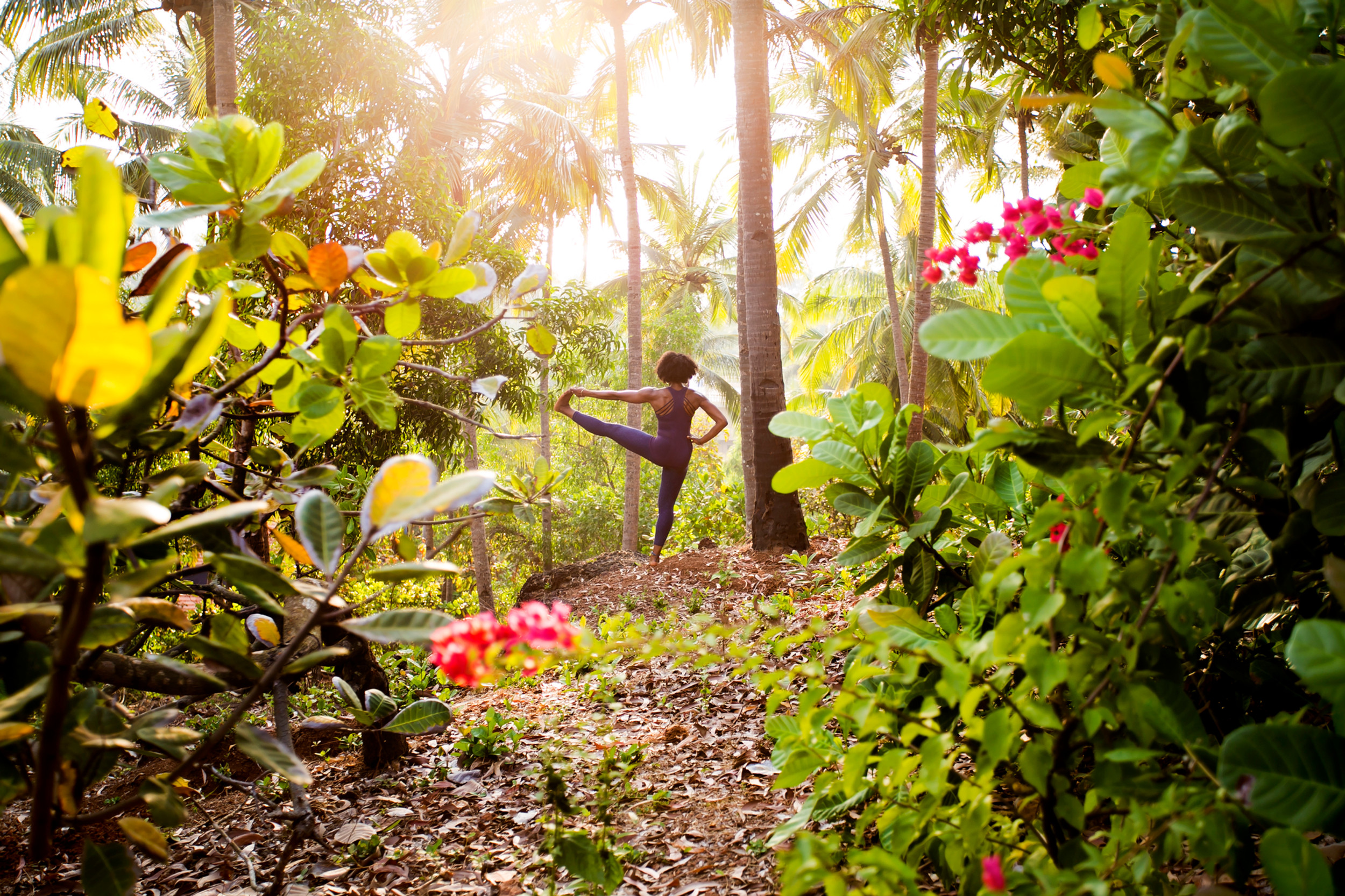 Tribal Gatherings | Rowena Johnson