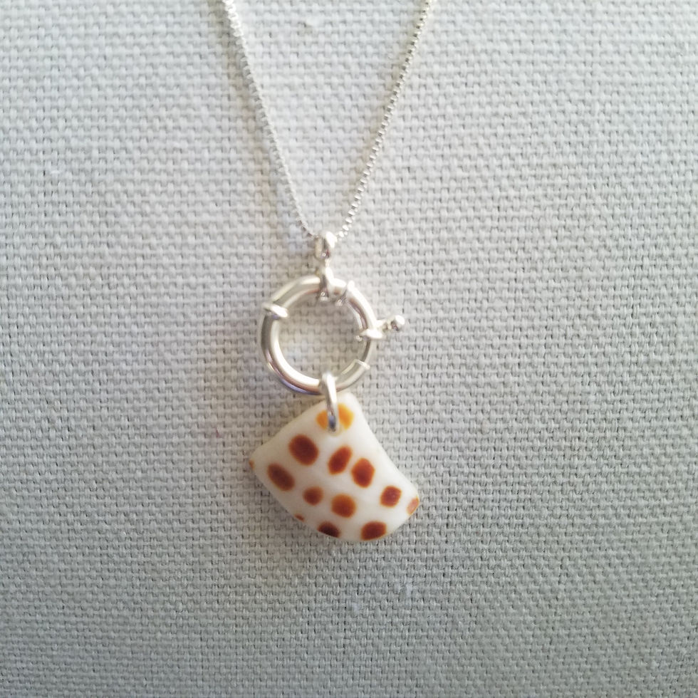 Handmade Seashell Jewelry Shell Necklaces