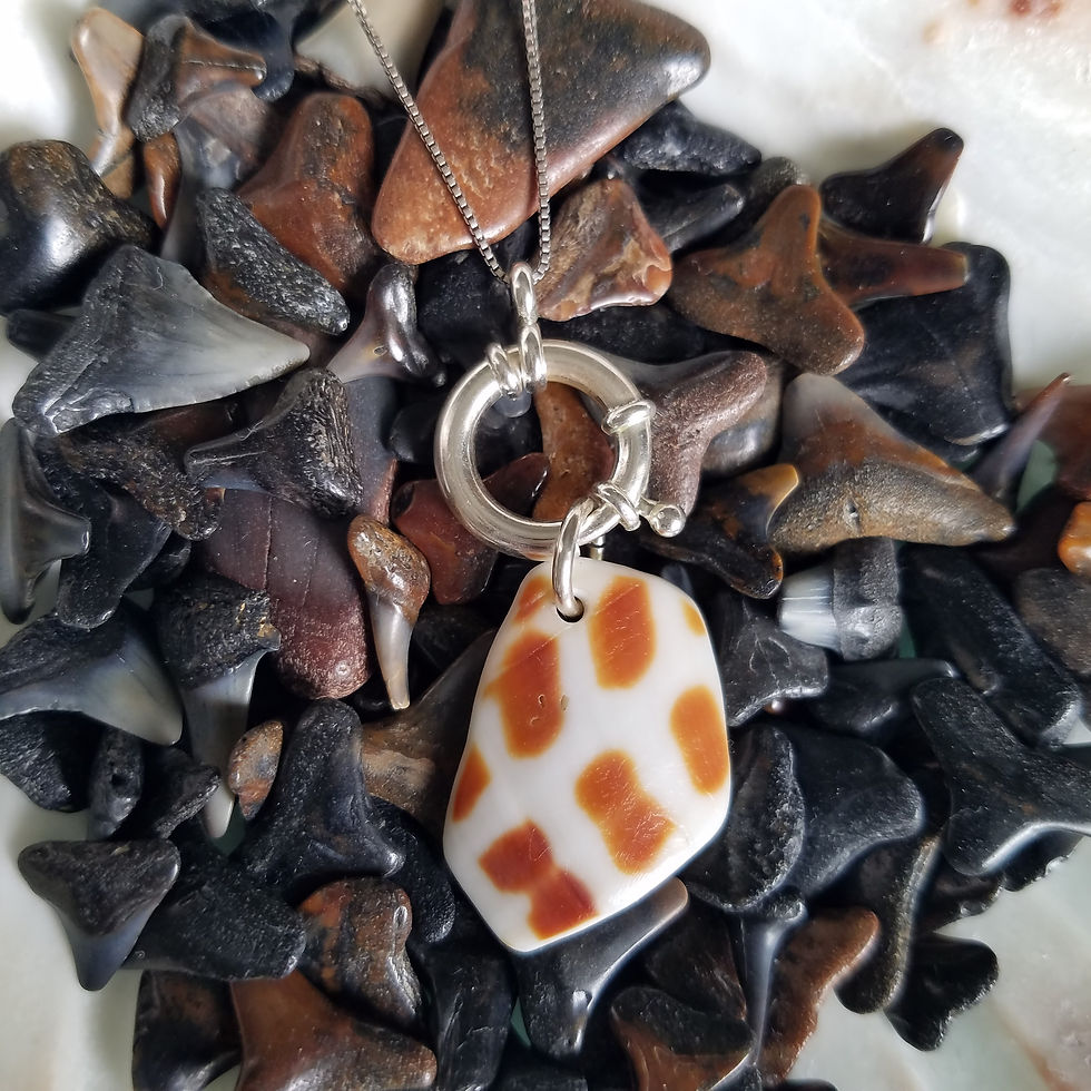 Handmade Seashell Jewelry Shell Necklaces