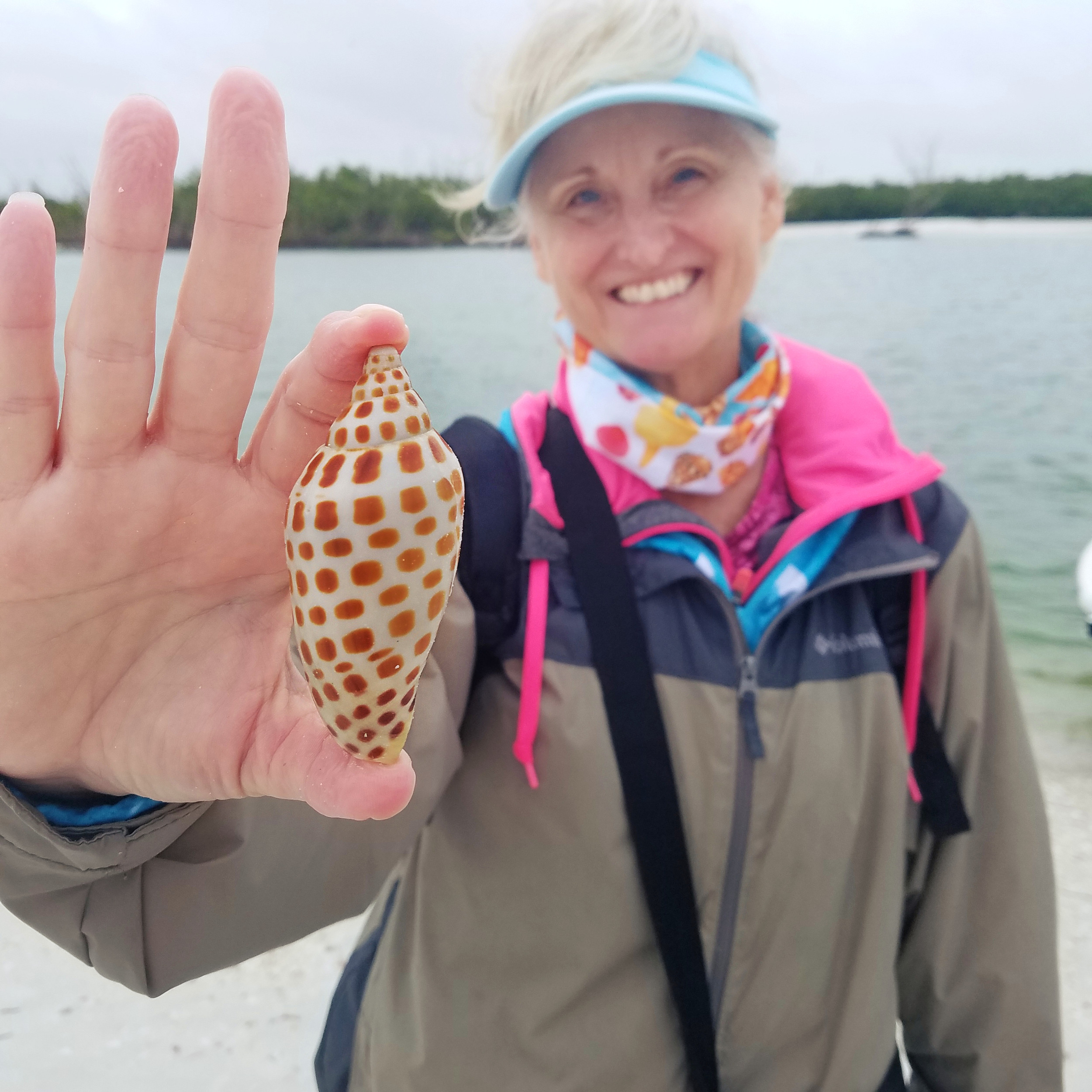 Shell Tour Info | SWFLShellGuide