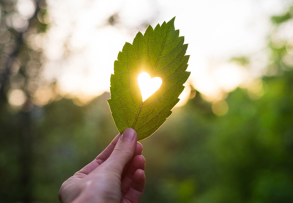 HOME | Angi Scott Coaching