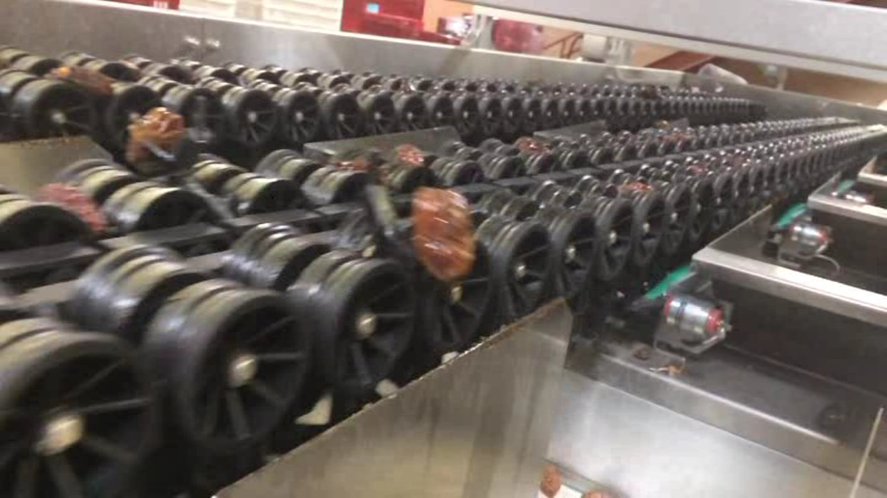 Fruit Sorting Machine | Katy | Insight Sorters LLC