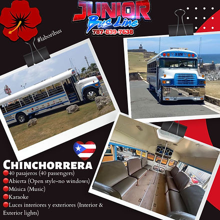 Inicio | Junior Bus Line, Inc.