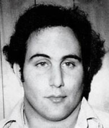 David Berkowitz | Supernaught