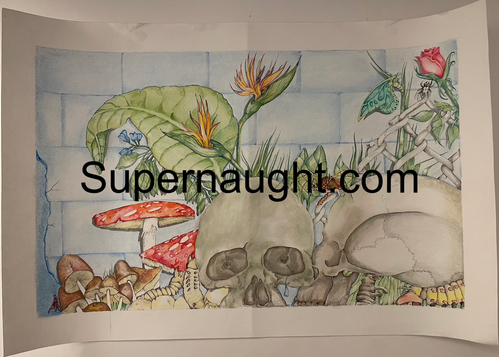 Richard Clarey Artwork Signed | Supernaught