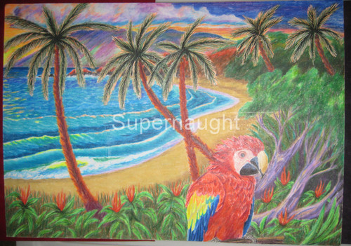 Keith Jesperson Tropical Parrott Artwork Signed | Supernaught