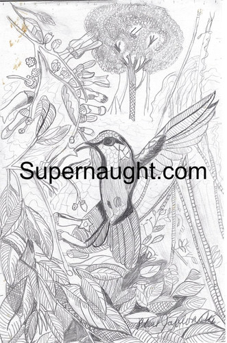 Phillip Jablonski Signed Bird Drawing | Supernaught