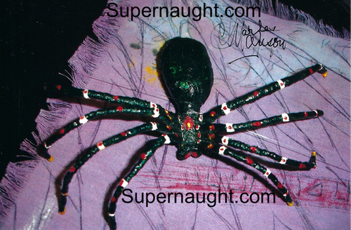 Charles Manson Autographed Spider Photo | Supernaught