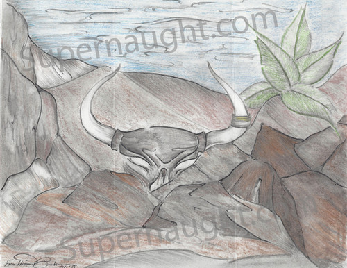 Harrison Graham Longhorn Skull in the Rocks Signed Artwork | Supernaught