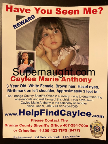 Caylee Anthony Missing Child Magnet Last One | Supernaught