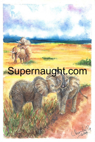 Charles Ng Signed Touch of Friendship Artwork | Supernaught