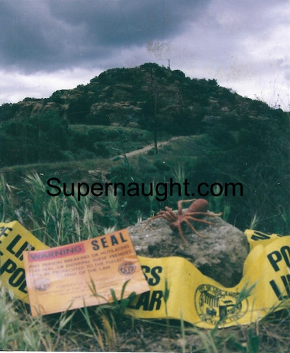 Spahn Ranch Photo with Spider Made by Manson Signed Michael Channels ...