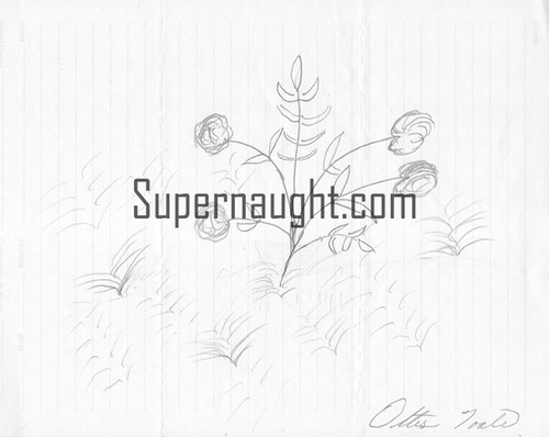 Ottis Toole Landscape Artwork Signed | Supernaught