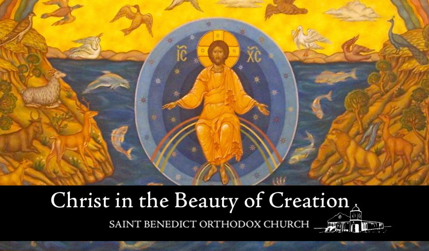 Christ in the Beauty of Creation