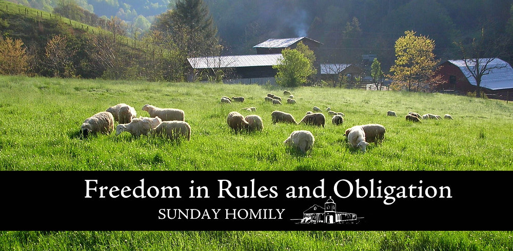 Freedom in Rules and Obligation