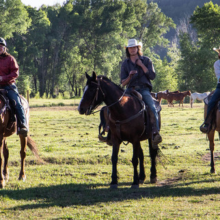Gallery | Colorado Trails