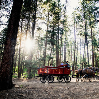 Gallery | Colorado Trails