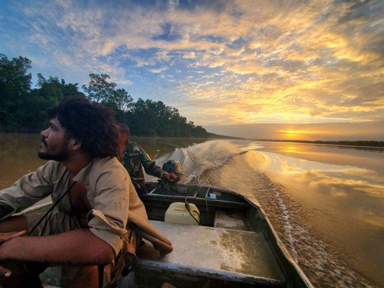 Turn Towards the Jungle