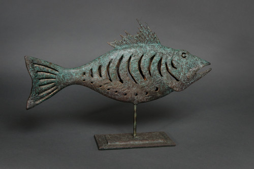 PRIMITIVE FISH IN BRONZE | Birds and Fish