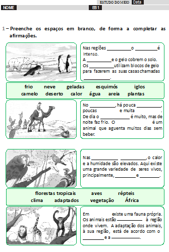 milrecursos - 1ºciclo