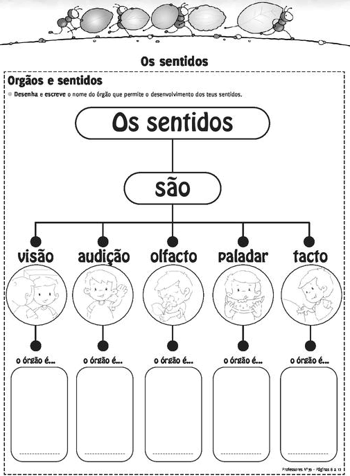 milrecursos - 1ºciclo