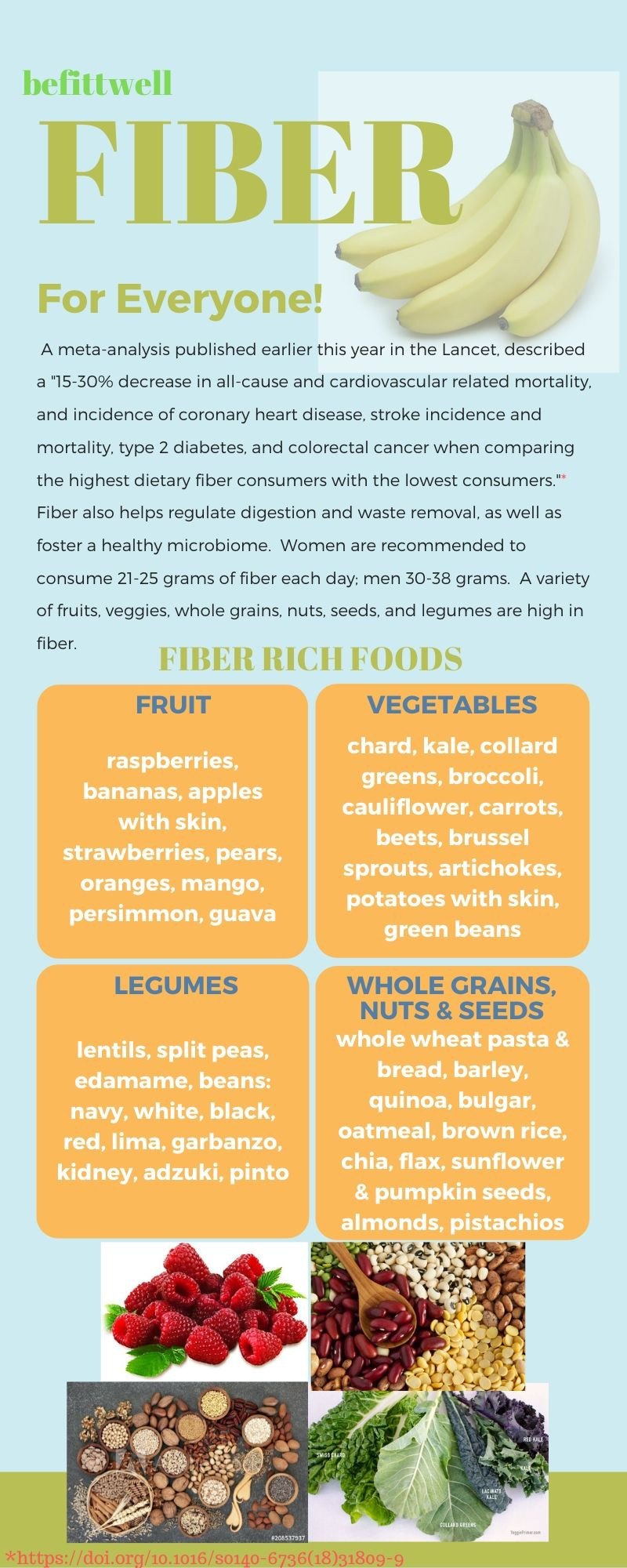 Fiber. What Is It & Why Do We Need It?