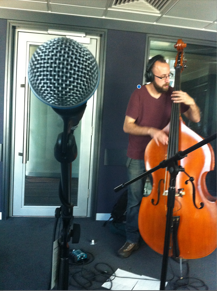 Becoming a Professional Singer: A Beginner's Guide to Making Waves in ...