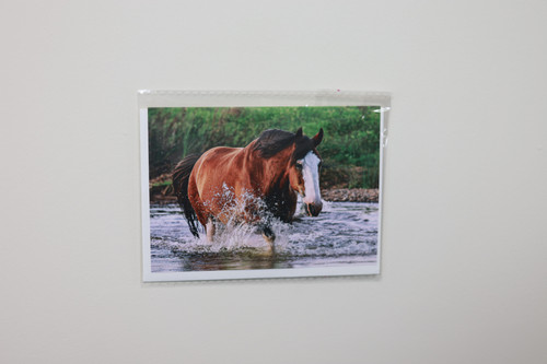 "Splashing Through" - Blank Greeting Card | Maitland Framing