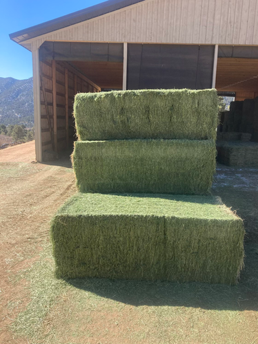 3x3x8 Alfalfa BARN PICK-UP | coloradohorsehay