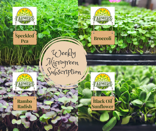WEEKLY MICROGREEN SUBSCRIPTION | Farmer's Microgreens