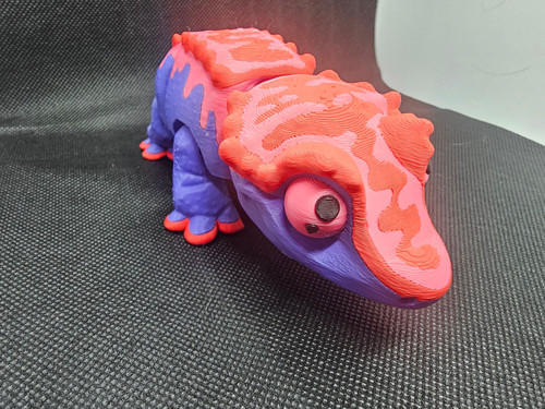 Crested gecko | Maritime Chef