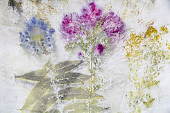 Mary DeLano Teaching Schedule