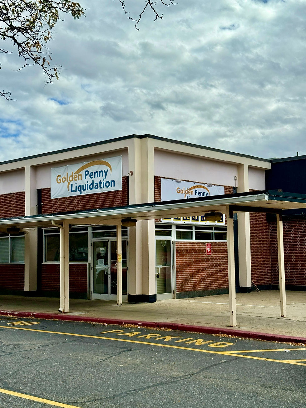 Golden Penny Liquidation | Discount Bin Store | 97 Church Street ...