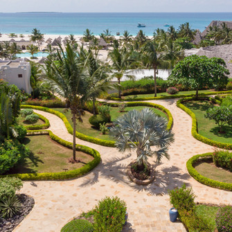 Gold Zanzibar | The Cocoon Collection