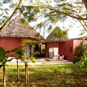 Gold Zanzibar | The Cocoon Collection