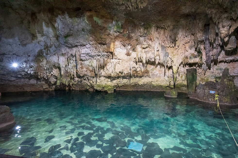 12 Cenotes Near Playa Del Carmen (2024)